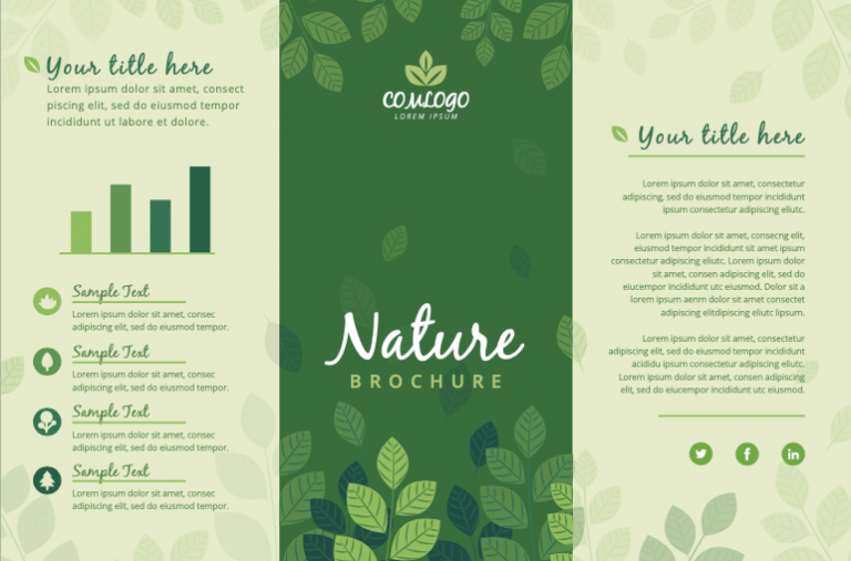 Plantillas de Trípticos en Word -【Gratis】 | Plantillas de Trípticos en ...